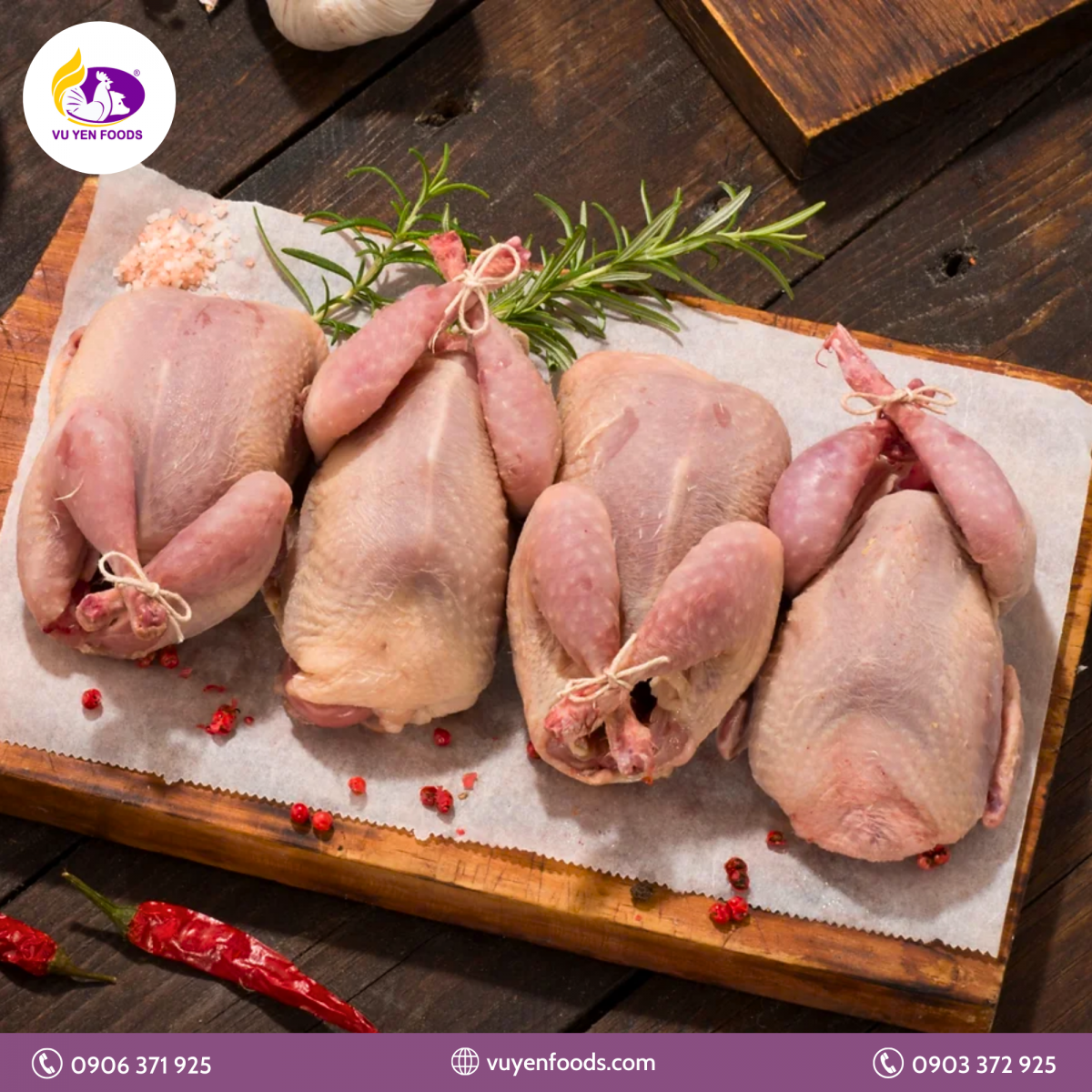 NHẬP SỈ CHIM CÚT TƯƠI HCM